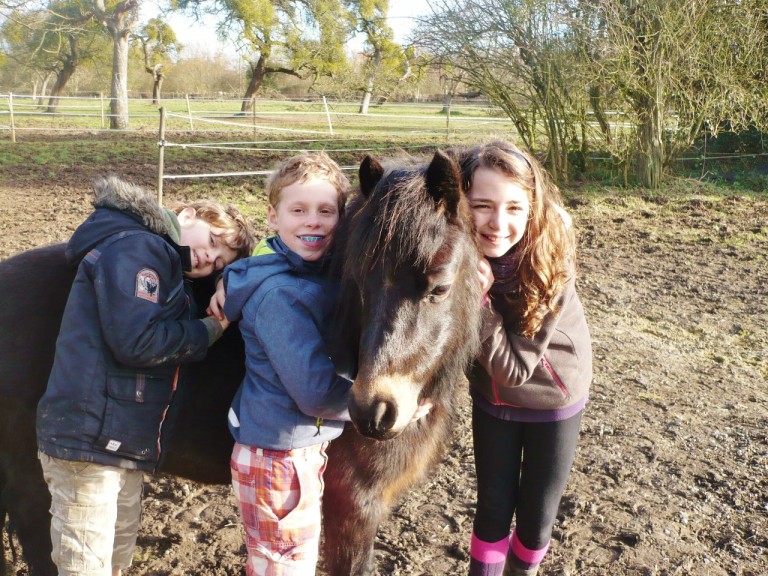 Stage poney | Equi-libres