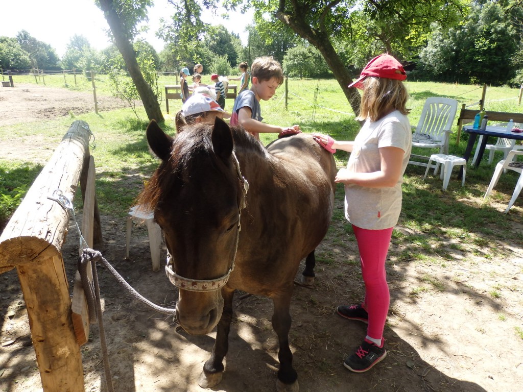 Stage poney | Equi-libres